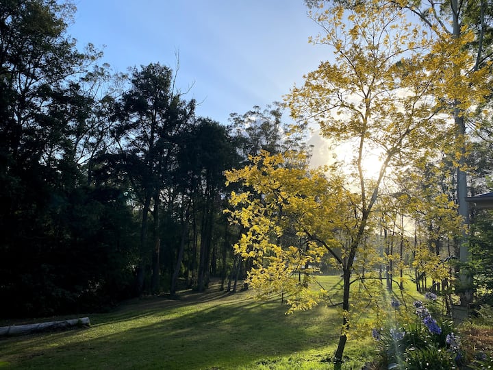 Cozy Home With Amazing View! - Avoca Beach
