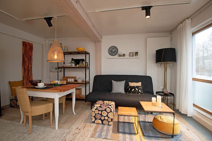 Ferienwohnung Eliese In Suhl - Suhl