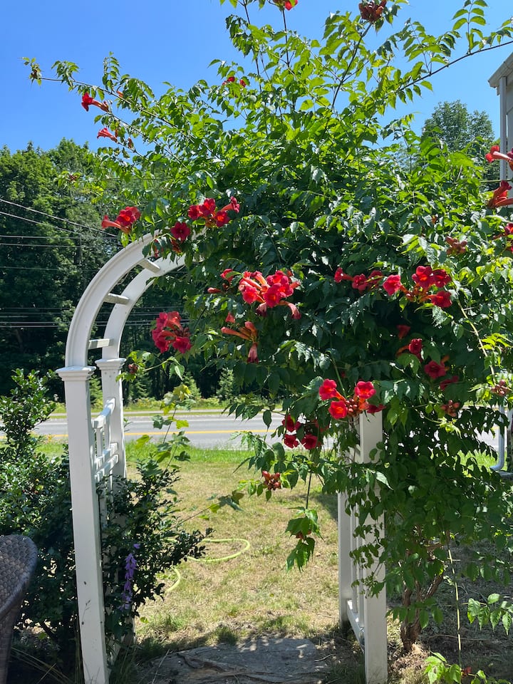 Historic Camden Farmhouse • Pets Welcome - Camden, ME