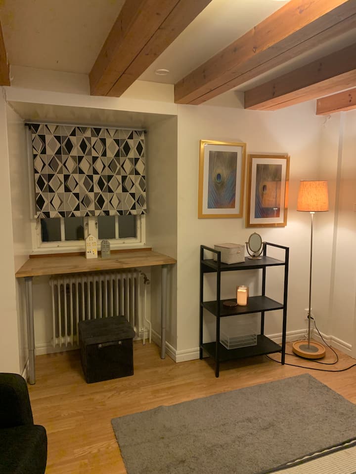 Fantastiskt Läge Innanför Muren - Visby