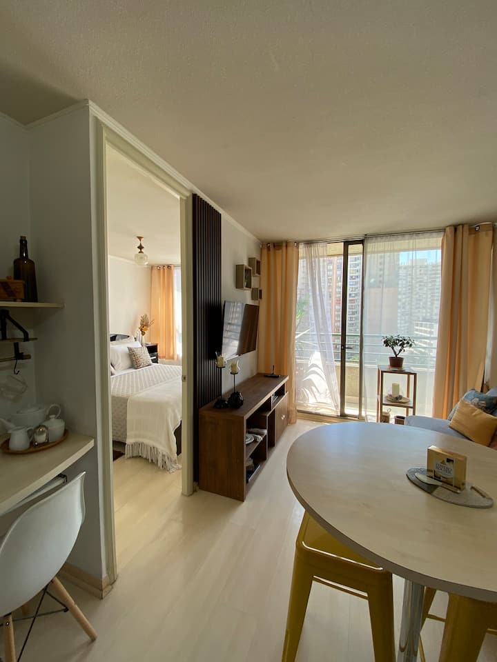 Depto. 1 Dorm, Metro Sta. Lucia - Santiago (Chile)