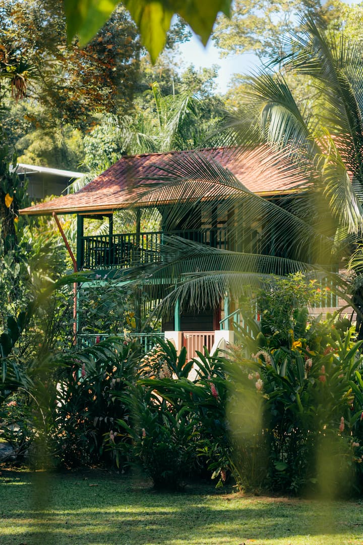 Casa De Mono Jungle Villa By The Beach - Panama