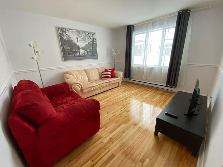 Duplex -The Entire Duplex At Your Disposal - Longueuil