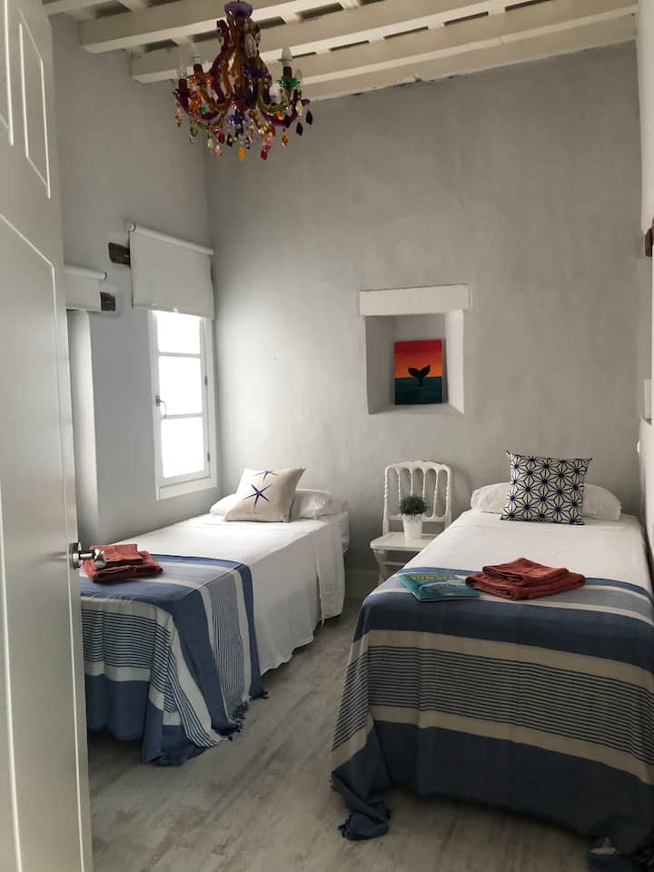 2 Habitaciones Comunicadas - Cádiz