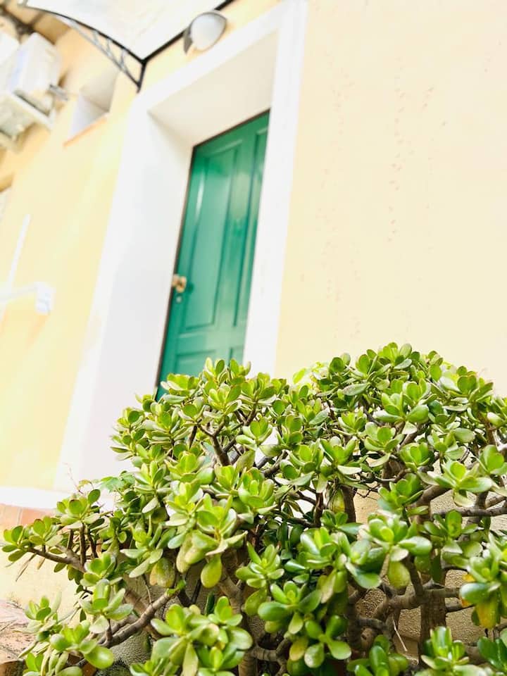 Relax Nel Centro Storico - Mono - Blu - Scalea