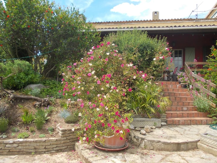 Villa Piscine Parc Garrigue Ouest Montpellier - Fabrègues