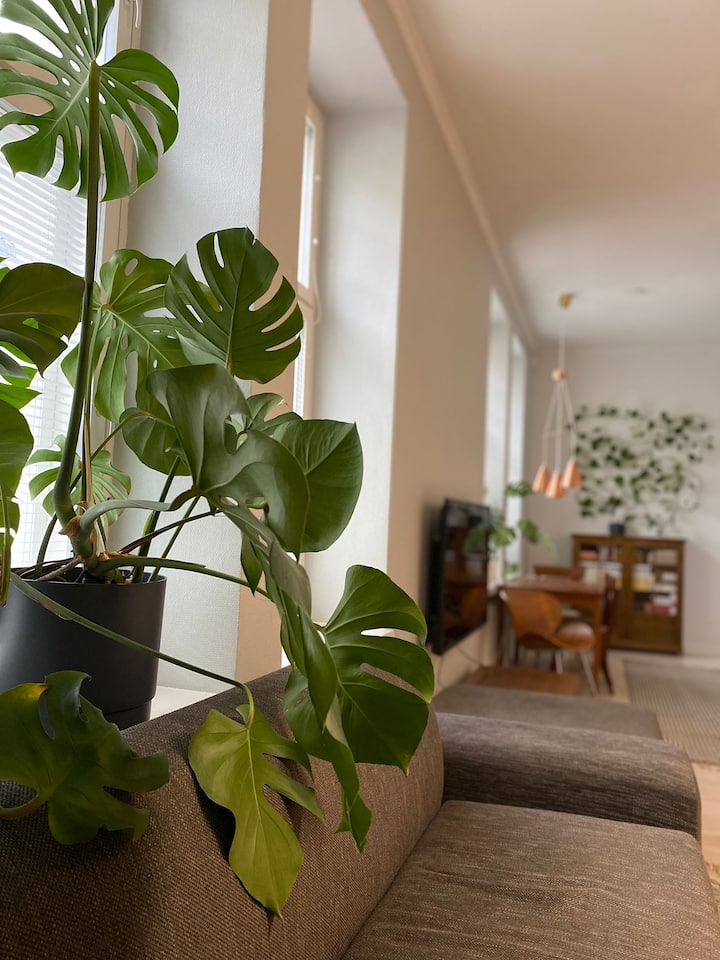 Beautiful Apartment In Centre Of Turku - Turku