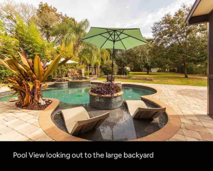 !Best Place Near Busch Garden ! - Temple Terrace, FL