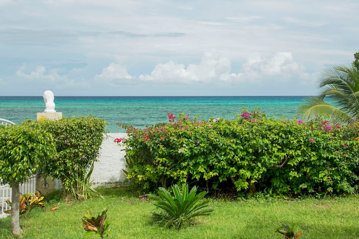 Calypso (Unit 9) - Private Sea Front Studio! - Montego Bay