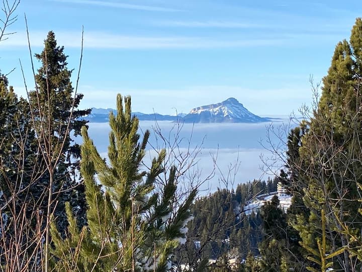 Nouveau Studio Rénové à 1750 - Chamrousse