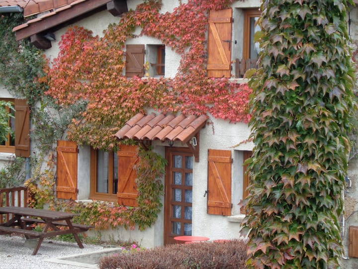Gite De Fontcottin - Saint-Chamond