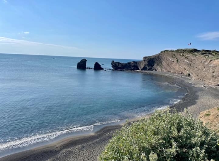 T2 Cabine 4 Pers *2e Ligne* Piscine*parking Free - Agde