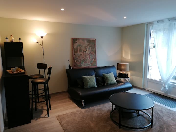 Chambre, Salon Dans Maison - Beaune