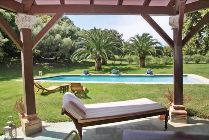 Domaine Panciarella - Paese - Corsica