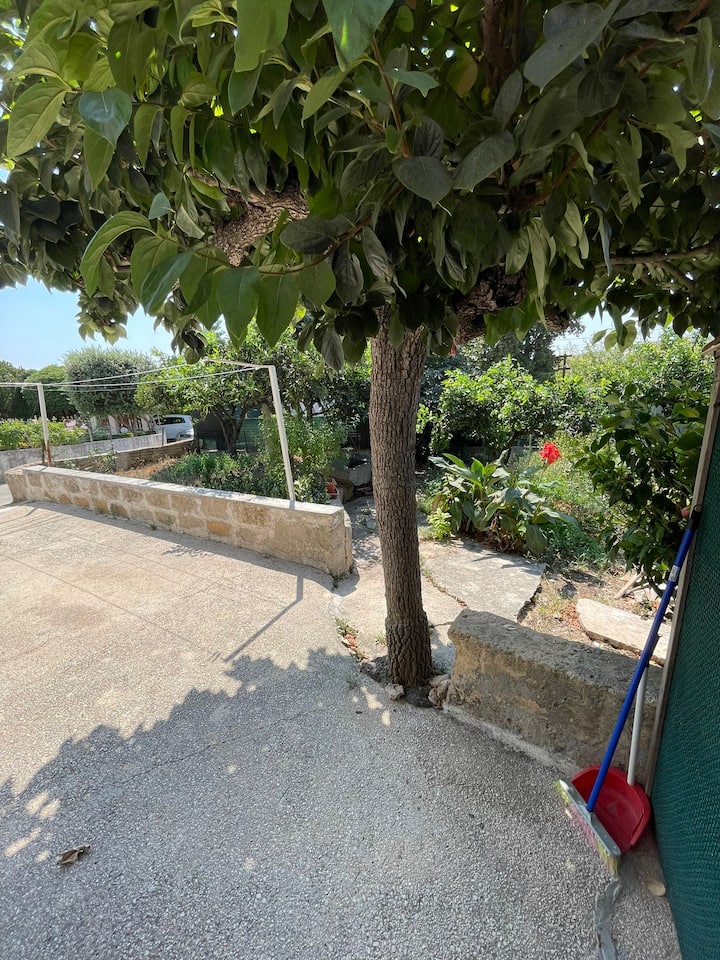 Casa Con Giardino · Base Per La Sicilia Ovest - Custonaci