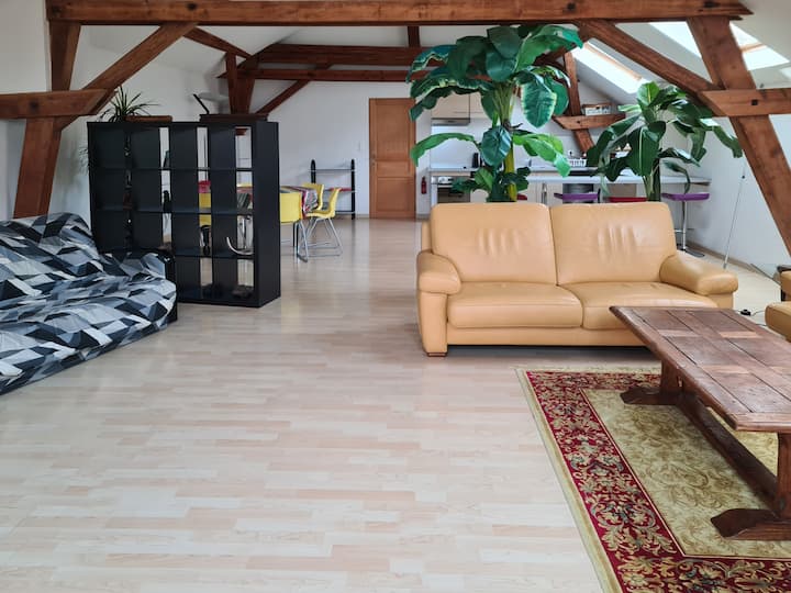 Loft Atypique Dans Une Ancienne Grange Alsacienne - Barr