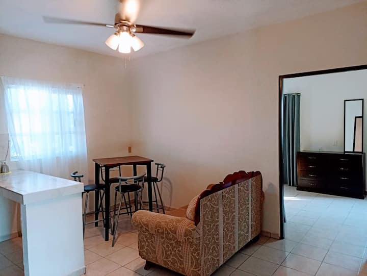 Departamento Cerca Aeropuerto - Tampico