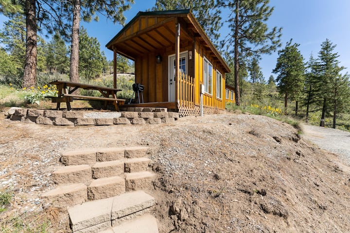 Echo Valley Winesap Cabin - Chelan, WA