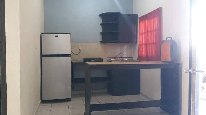 Departamento De Dos Recamaras. - Río Bravo
