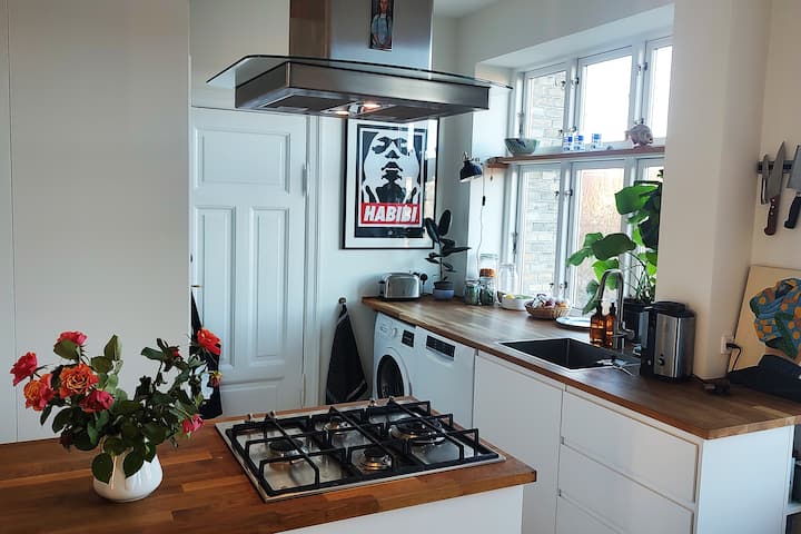 Sunlit Spacious Flat - Copenhagen