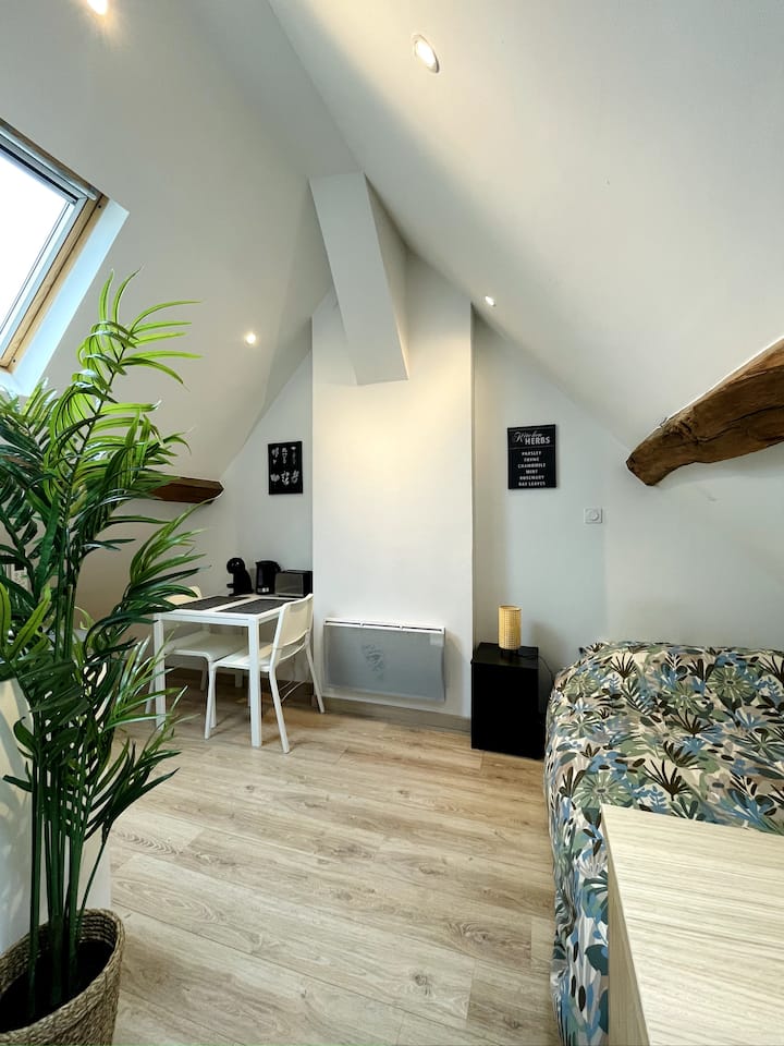 T1 Dijon Wilson Bis - Dijon