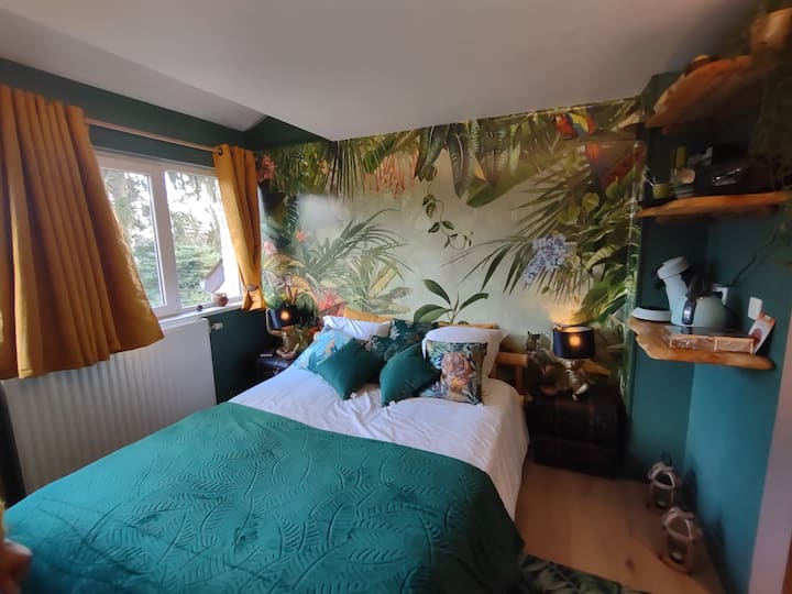 Chambre Amazonie - Beaumont