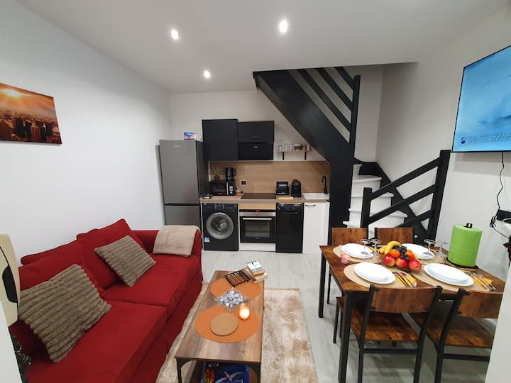 Charmant Appartement Duplex Plus Une Mezzanine - Nancy