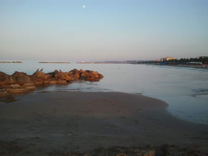 Relax A 100 Metri Dal Mare. - Montesilvano