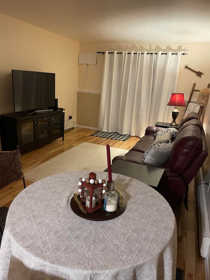 Cozy Condo Near Hospital. - Grand Junction, CO
