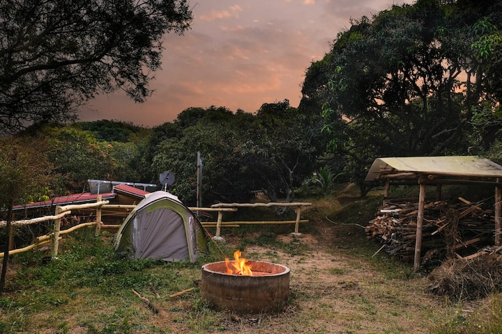Tent @ Palette O' Green 'N Red - Ramanagara