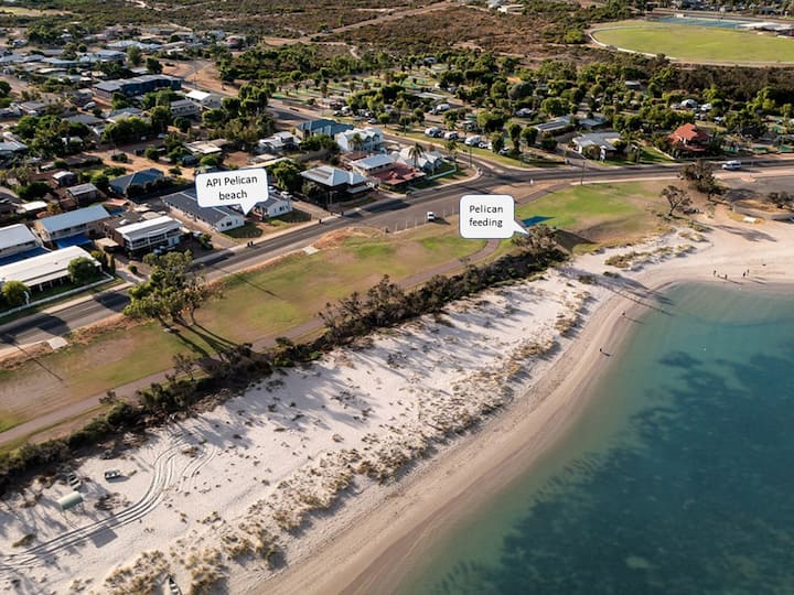 Api Pelican Beach Front Apartments - Unit 1 - Kalbarri