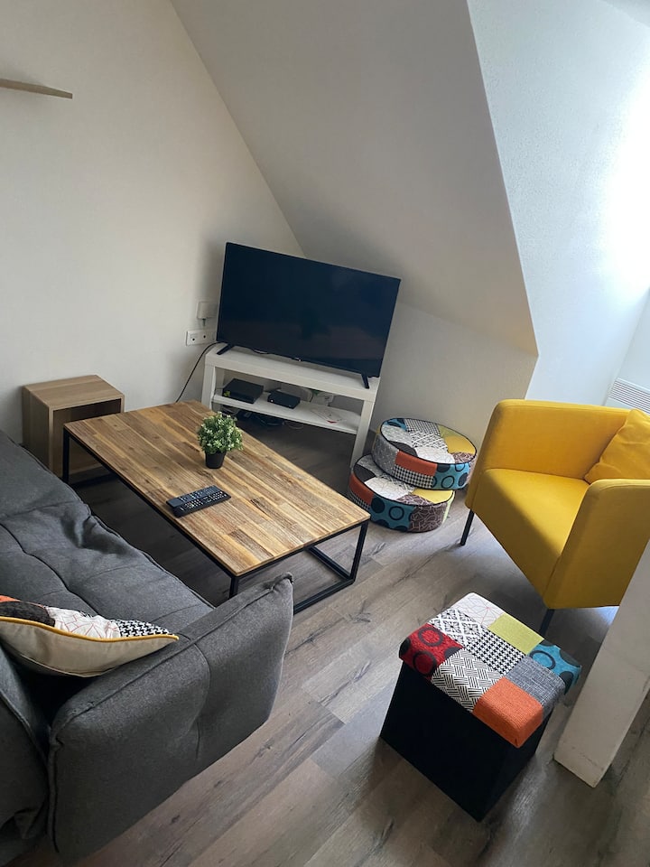 Mulhouse Hyper Centre Appartement 4 Chambres - Black Forest