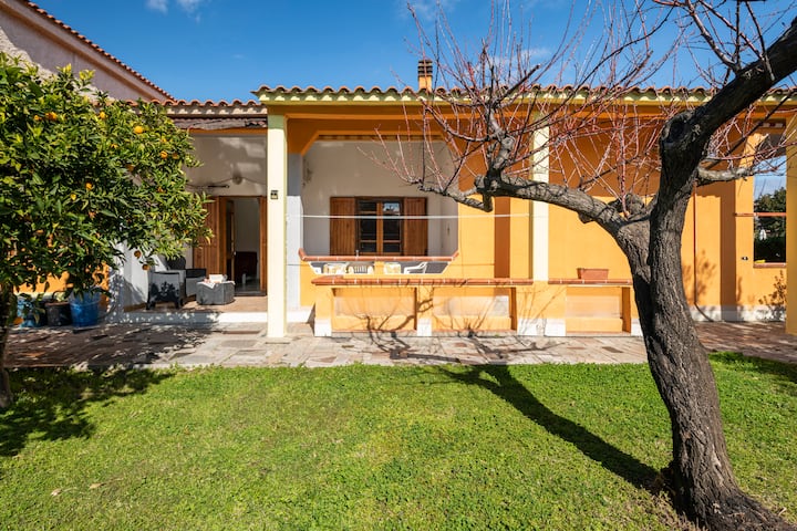 Appartement Avec Jardin Proche Du Centre - San Teodoro