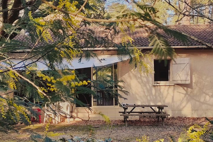 Maison 9 Pers à 100 M Du Lac - Lacanau