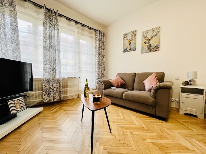 Elegant 2 Bedroom City Center Apartment - Prague