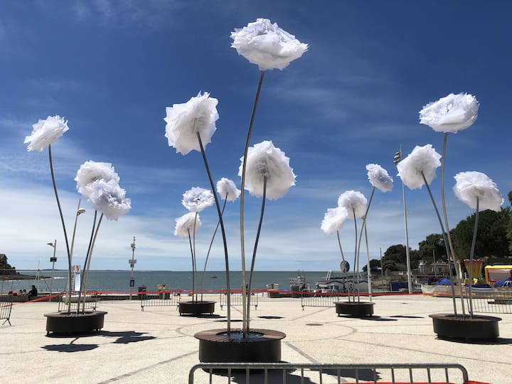 St Palais  3 Pièces Avec Terrasse  Proche Plage - Les Mathes