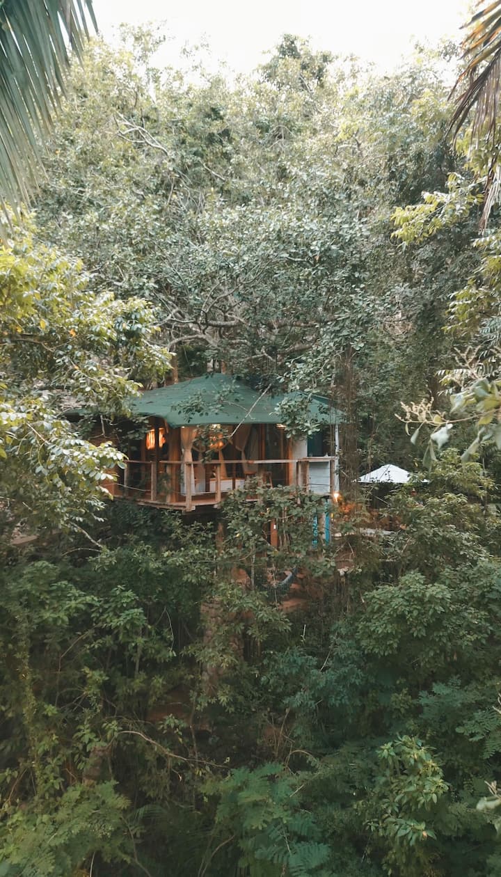 Incredible Tree House Near Beautiful Beach - Nayarit