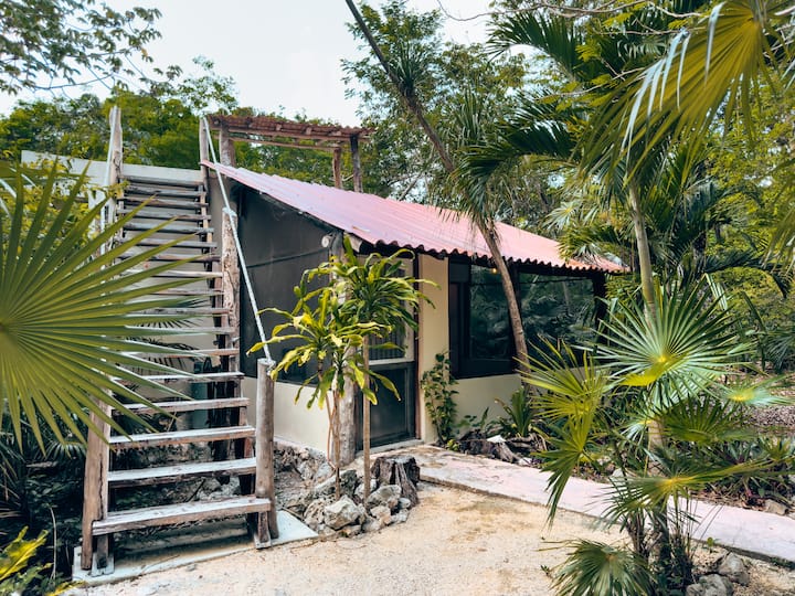 Private Studio · A/c, Fast Wifi, Pool & Gym - Akumal