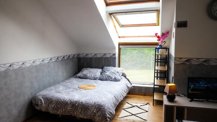 Studio Port De Paimpol - Paimpol