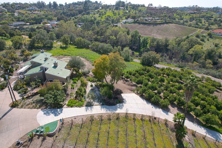 Family Home On 4 Acre Vineyard W/views, Gardens - Fallbrook, CA