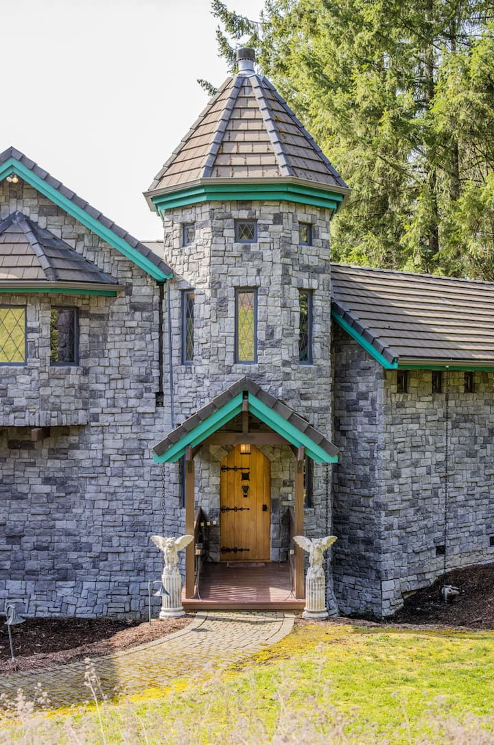 Extraordinary Medieval Castle w/Life Size Dragons! - Castles for Rent ...