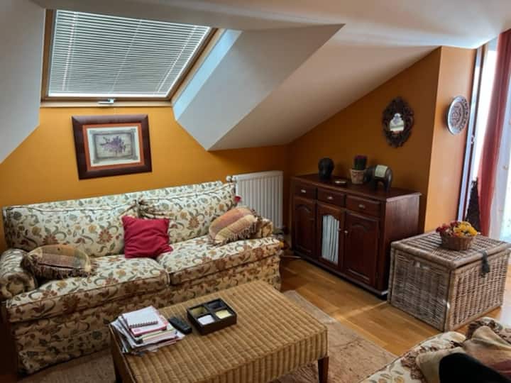 Atractivo áTico 2 Habitaciones - Villaviciosa