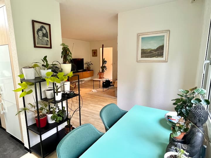 Helle Wohnung Mit Aussicht - Saint-Gall