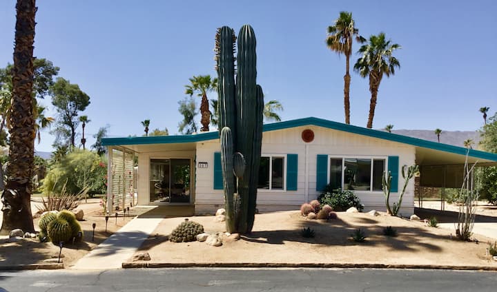 Borrego Dark Skies Adventure - Borrego Springs, CA