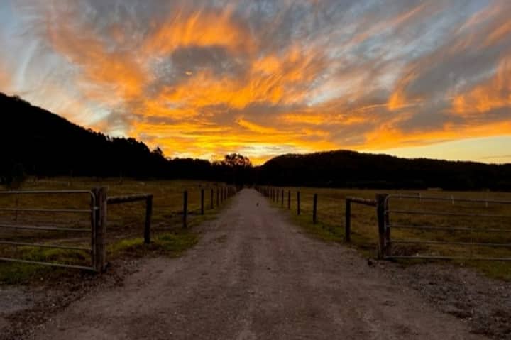 "The Shed" At Yarraman Ridge - Peregian Beach