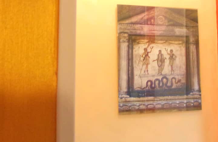 Domus Romana Central Flat & Garden - Rome