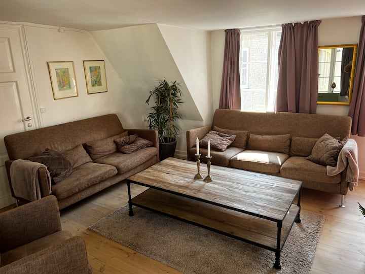 100 Kvadratmeter. Yderst Attraktivt Beliggenhed - Kopenhagen