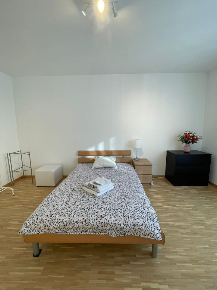 Spacious Bright Room Unimail University Citycenter - Ginebra