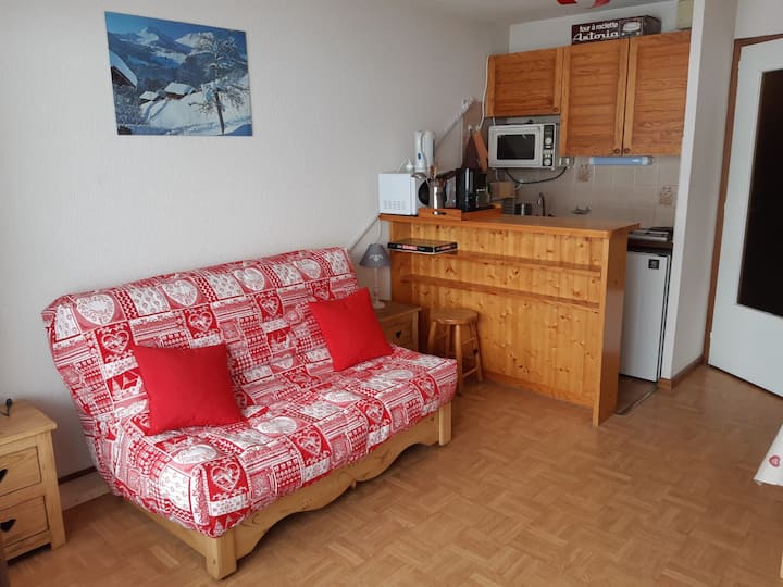 Studio Alpin Au Pied Des Pistes - Le Chinaillon