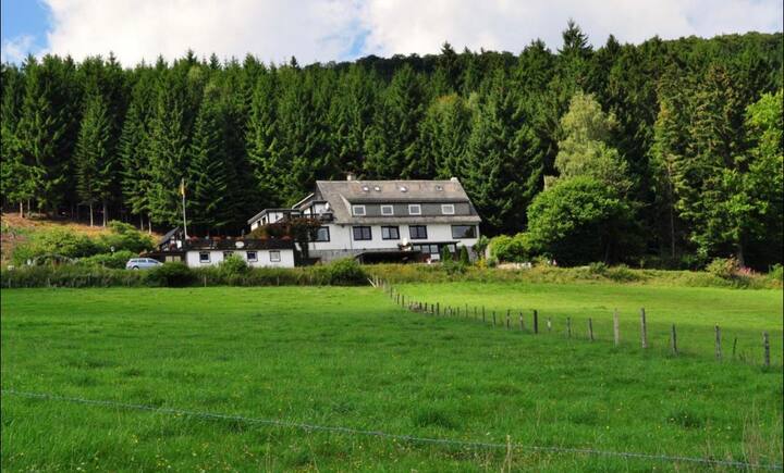 Apartment In Willingen! - Willingen (Upland)